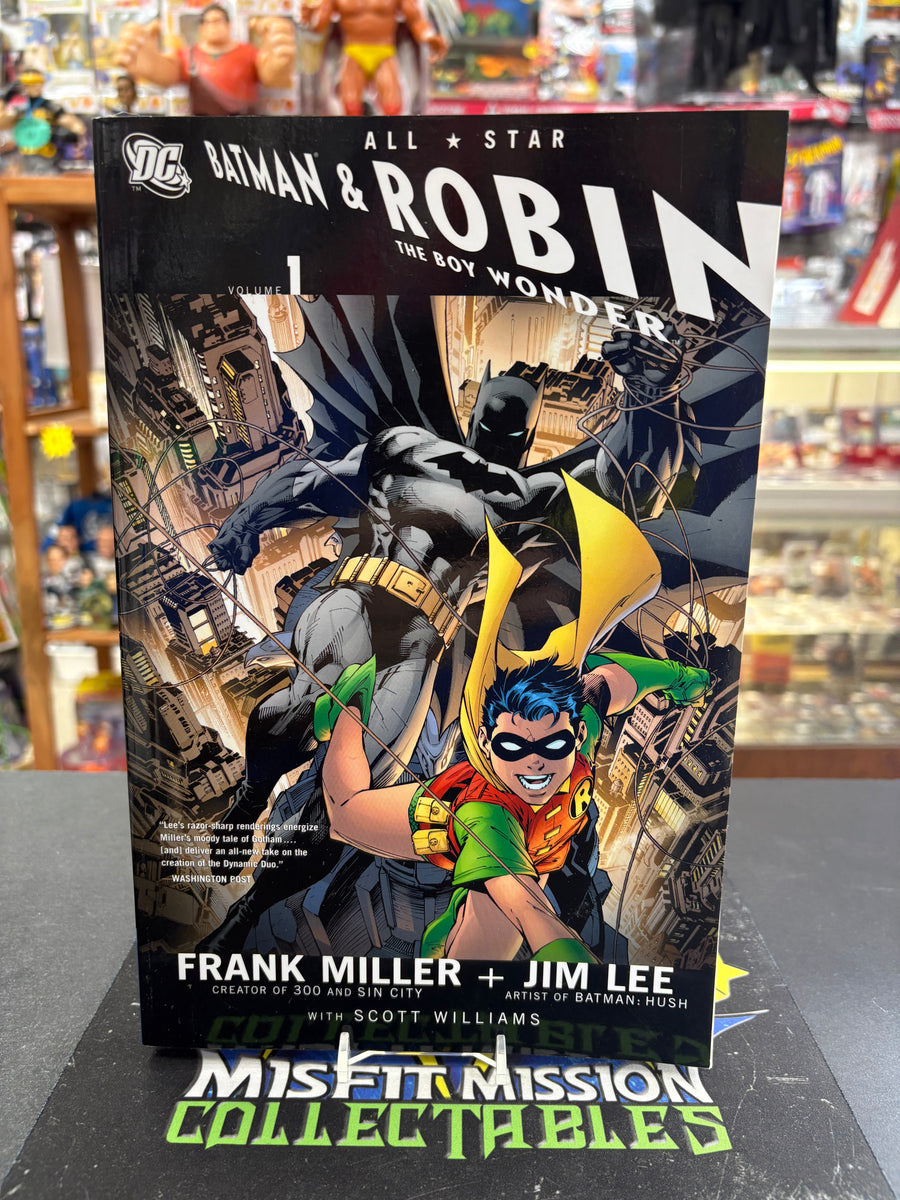 2008 DC Comics Batman & Robin The Boy Wonder Graphic Novel – The Misfit ...