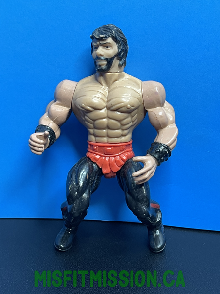 Knock Off MOTU Sungold Wrestling Champions Galaxy Warriors – The Misfit ...